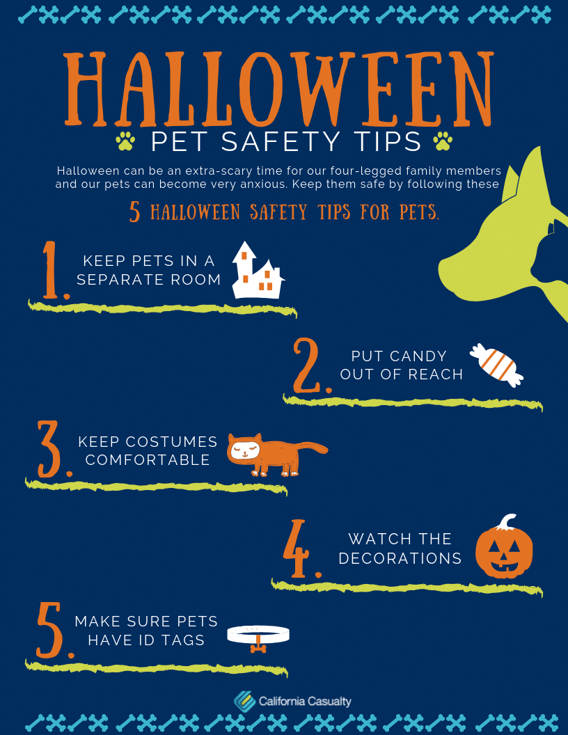 Halloween Pet Safety Tips California Casualty