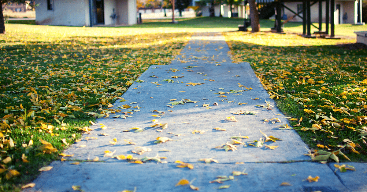 Fall Preparation Tips for Your Home | California Casualty