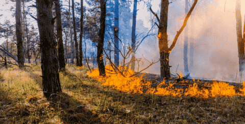 Fire Zones and What They Mean for Your Home